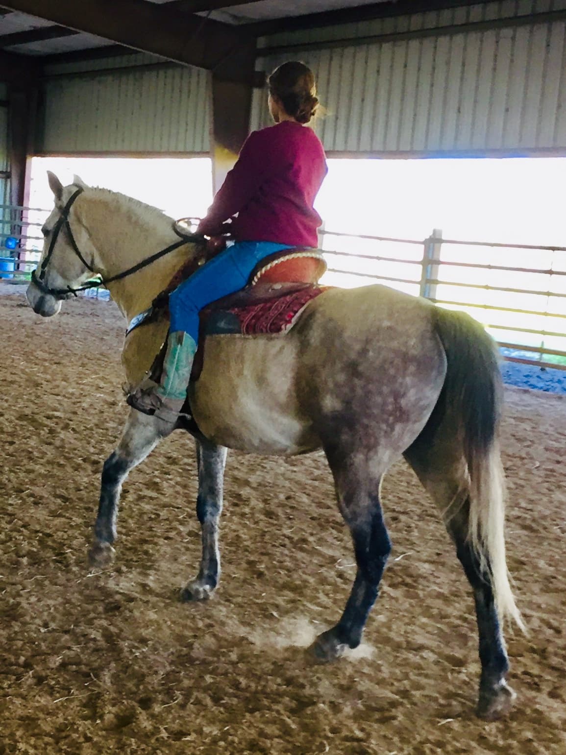 Get INVOLVED – Soul Horses llc